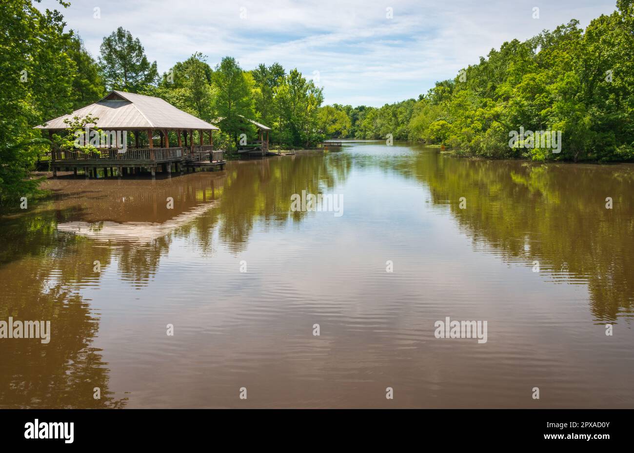 Lake Fausse Pointe State Park in Louisiana Stock Photo - Alamy