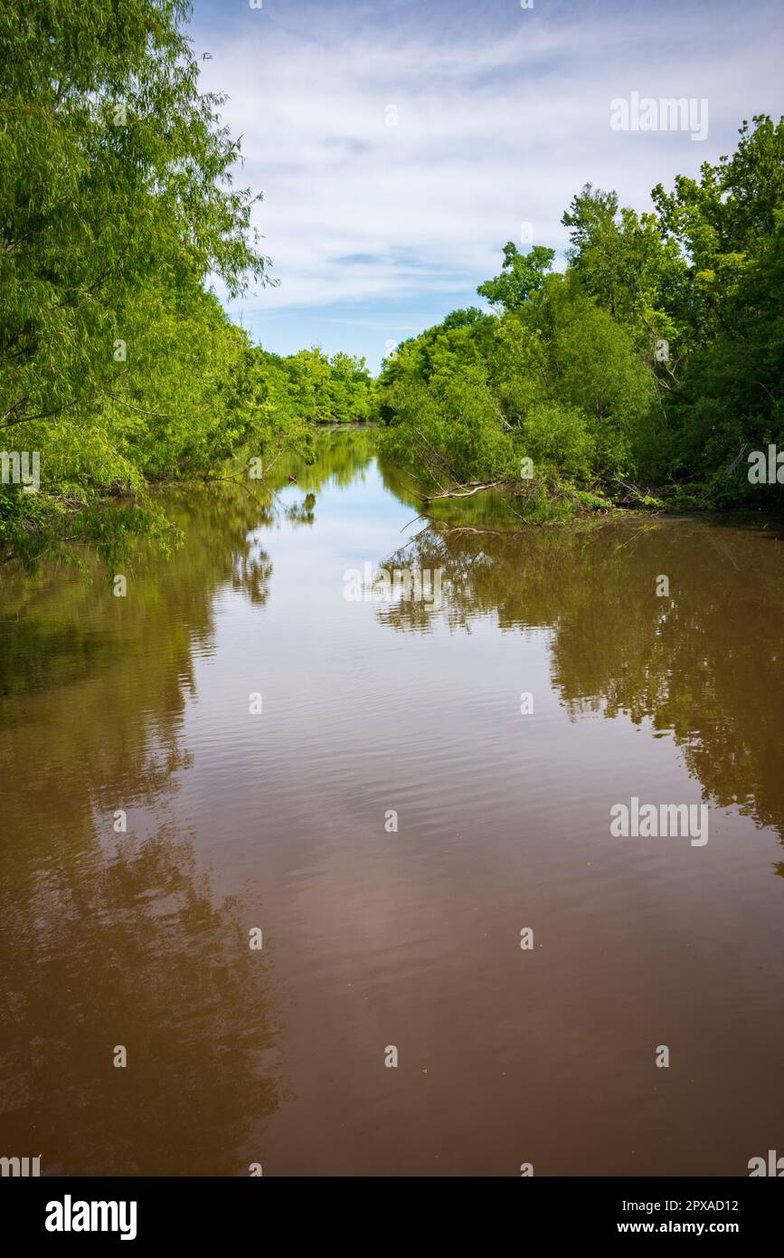 Lake Fausse Pointe State Park in Louisiana Stock Photo - Alamy
