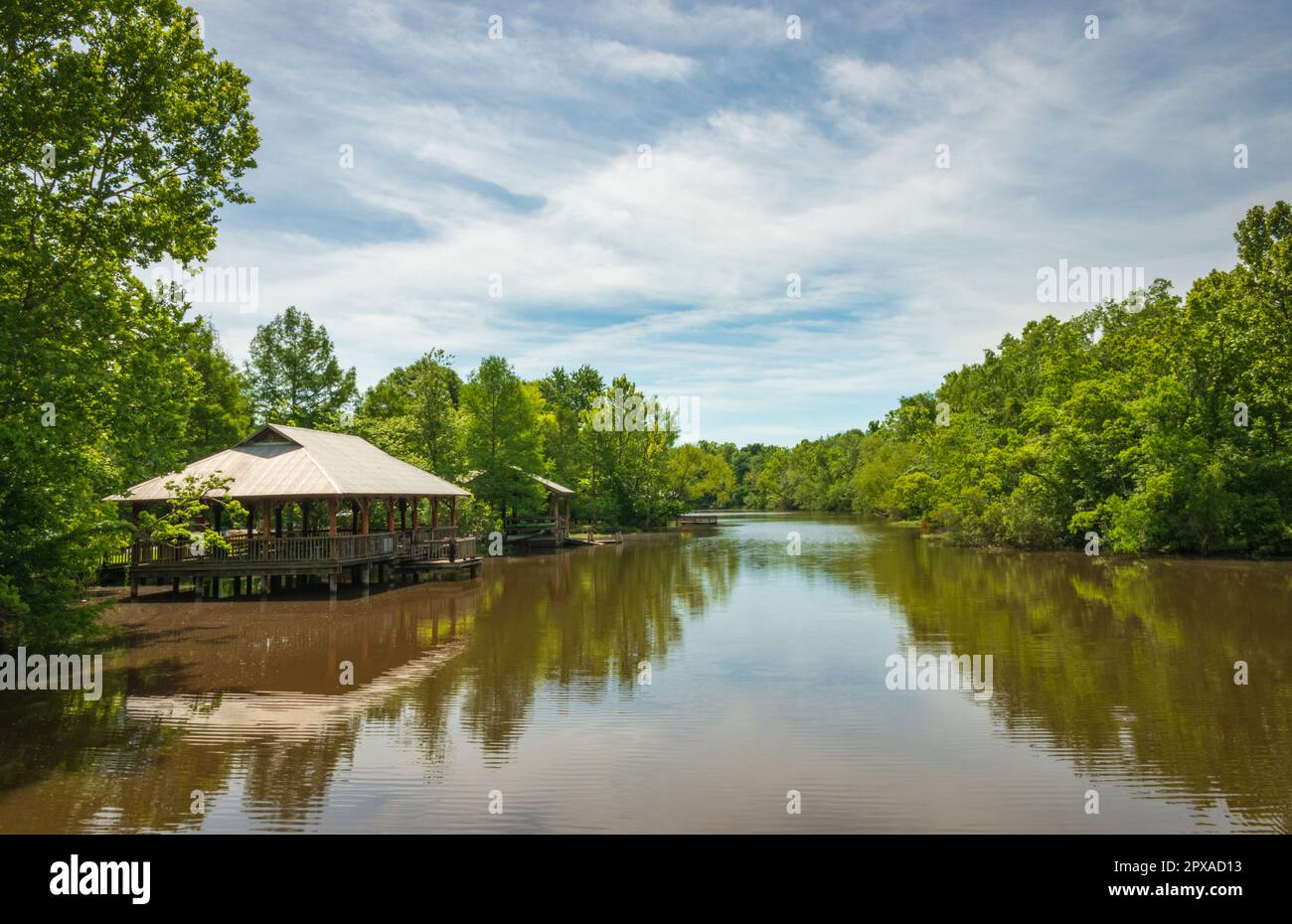 Lake Fausse Pointe State Park in Louisiana Stock Photo - Alamy