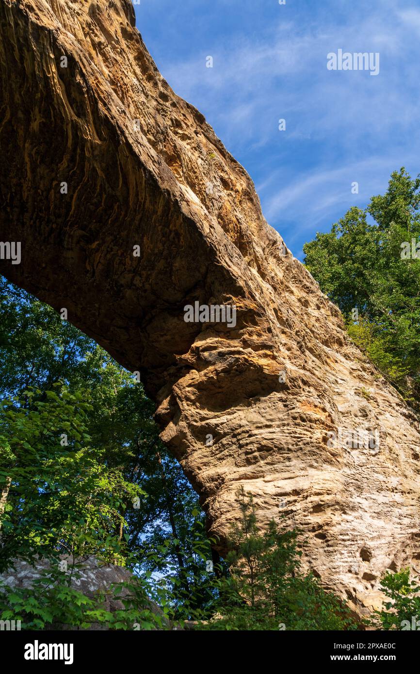 Natural Bridge State Resort Park in Kentucky Stock Photo - Alamy