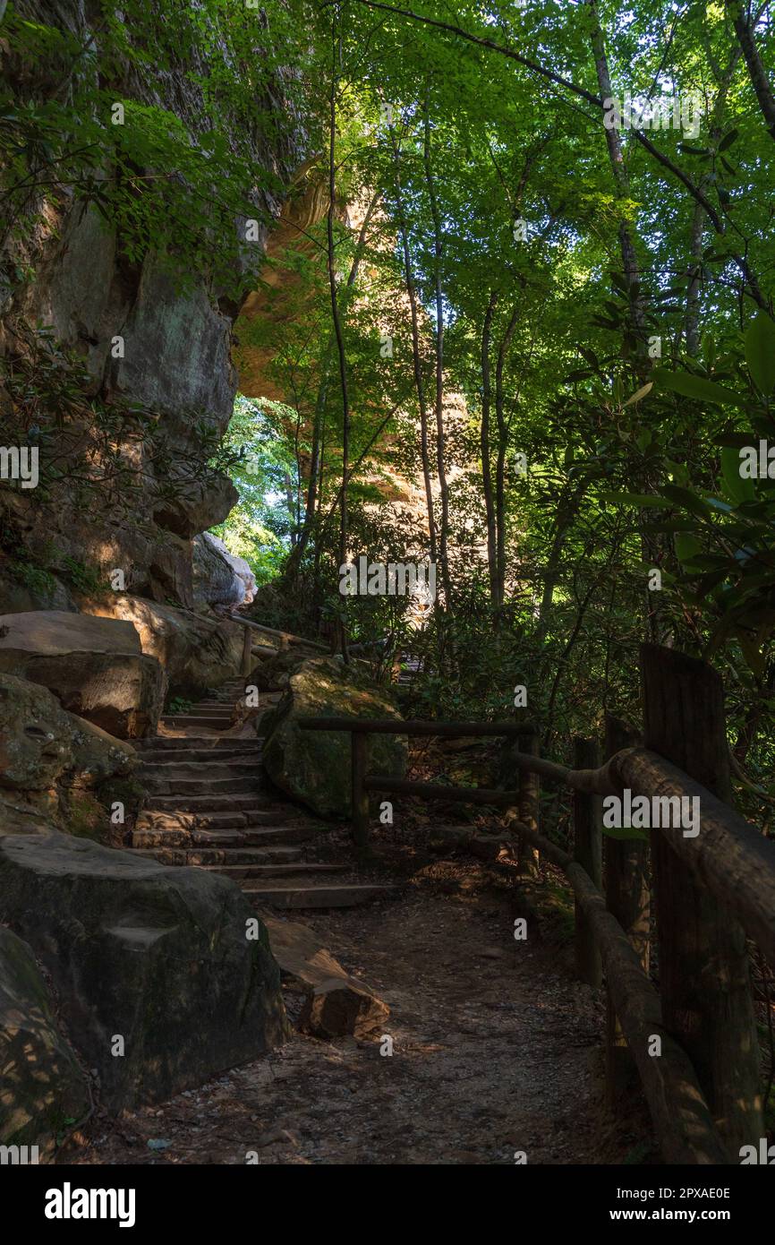 Natural Bridge State Resort Park in Kentucky Stock Photo - Alamy