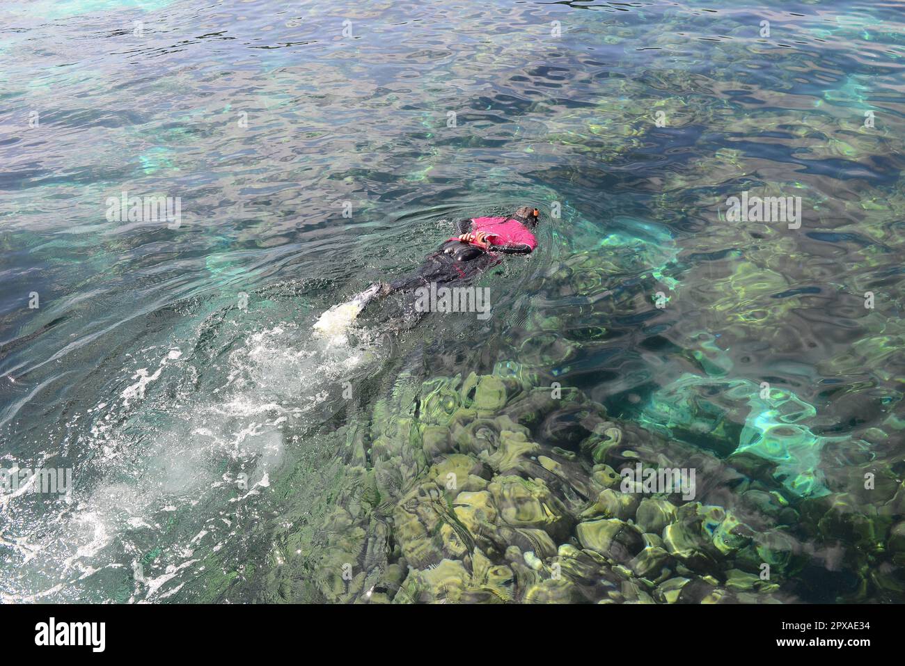 Koh Rok (Rok Island) is a small archipelago in southern Thailand in the ...