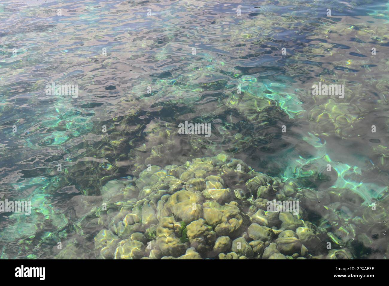 Koh Rok (Rok Island) is a small archipelago in southern Thailand in the ...