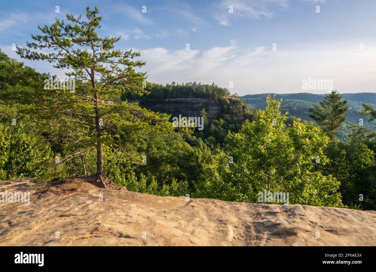 Natural Bridge State Resort Park in Kentucky Stock Photo - Alamy