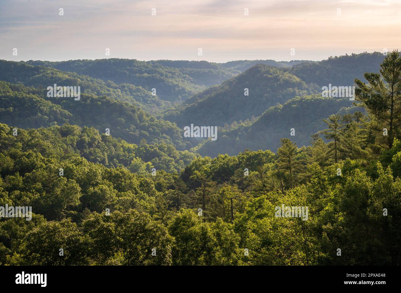 Natural Bridge State Resort Park in Kentucky Stock Photo - Alamy