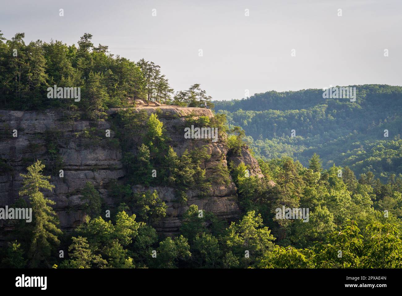Natural Bridge State Resort Park in Kentucky Stock Photo - Alamy