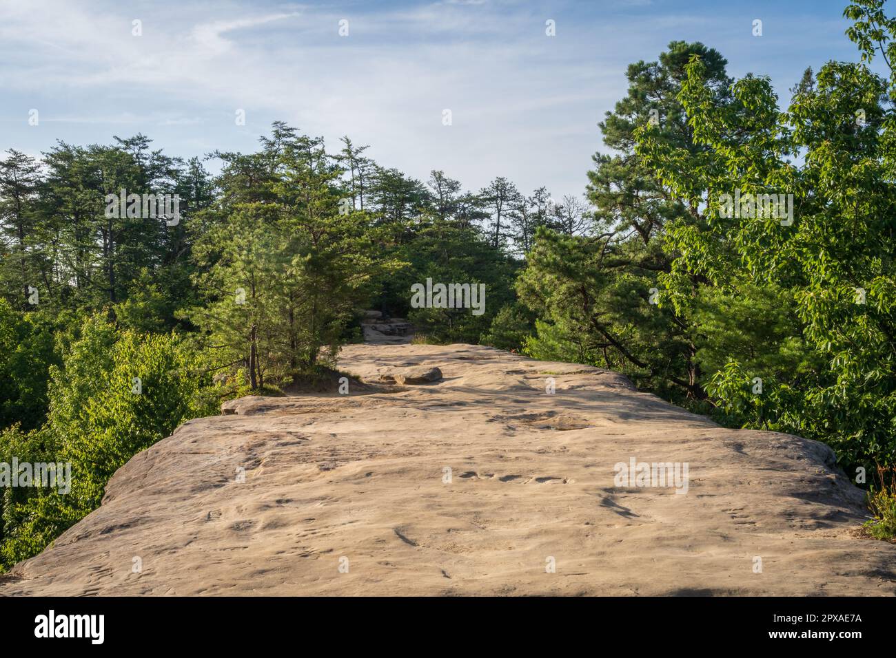 Natural Bridge State Resort Park in Kentucky Stock Photo - Alamy