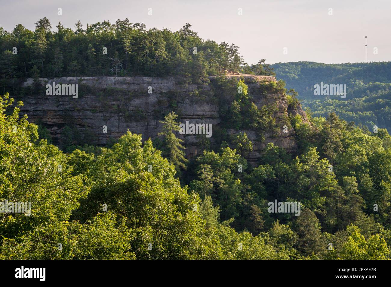 Natural Bridge State Resort Park in Kentucky Stock Photo - Alamy