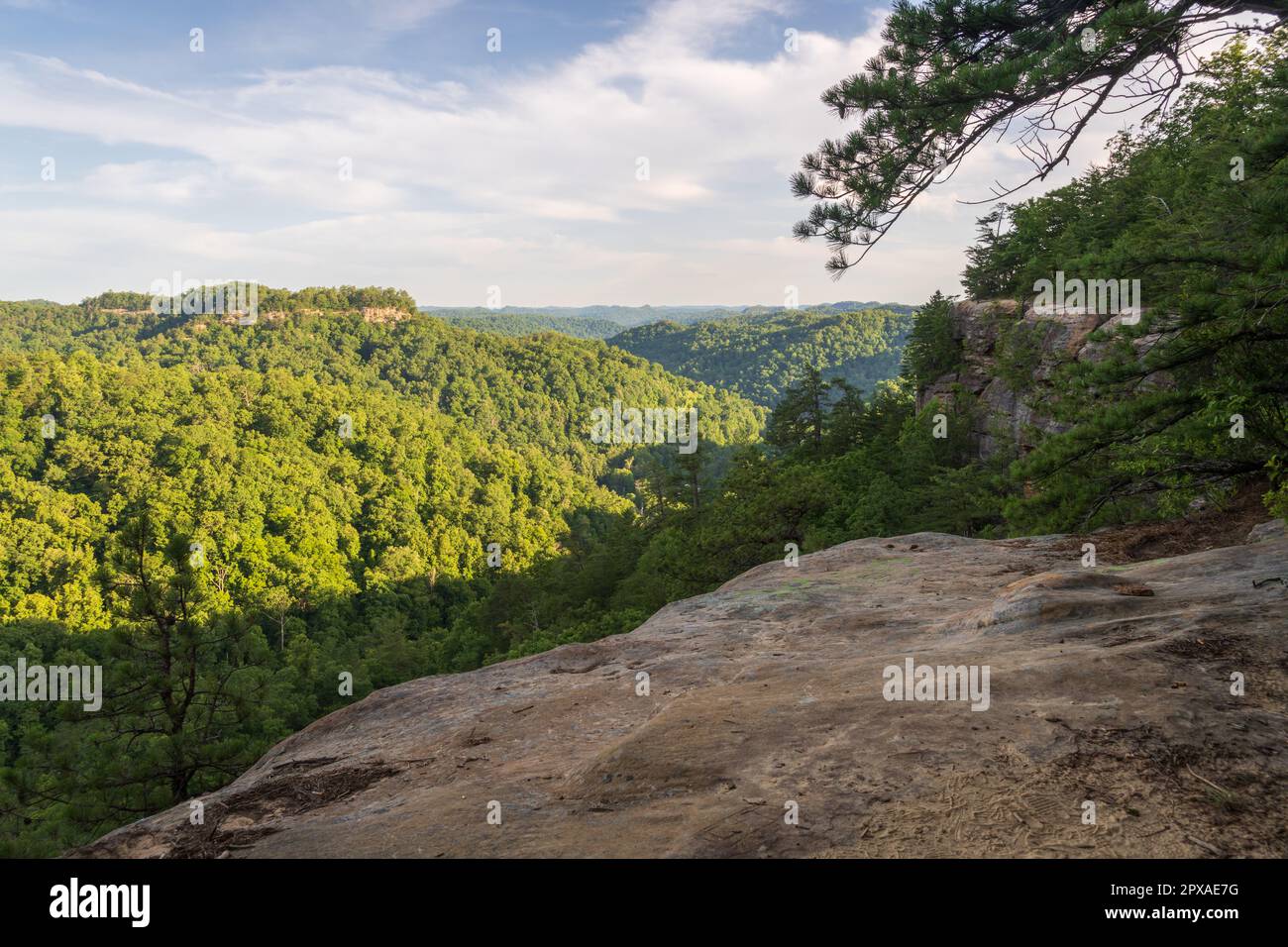 Natural Bridge State Resort Park in Kentucky Stock Photo - Alamy