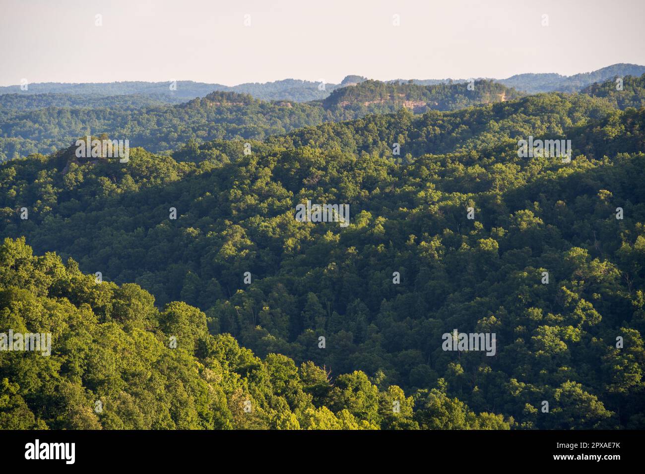 Natural Bridge State Resort Park in Kentucky Stock Photo - Alamy