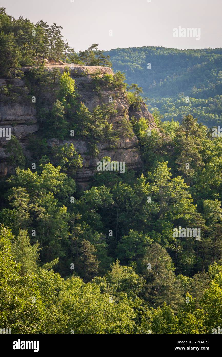 Natural Bridge State Resort Park in Kentucky Stock Photo - Alamy