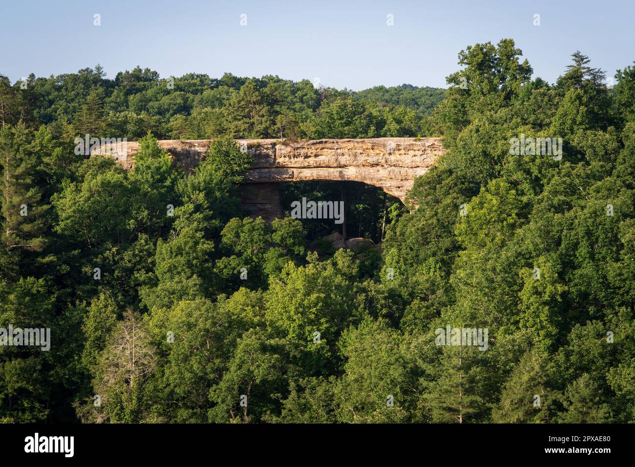 Natural Bridge State Resort Park in Kentucky Stock Photo - Alamy