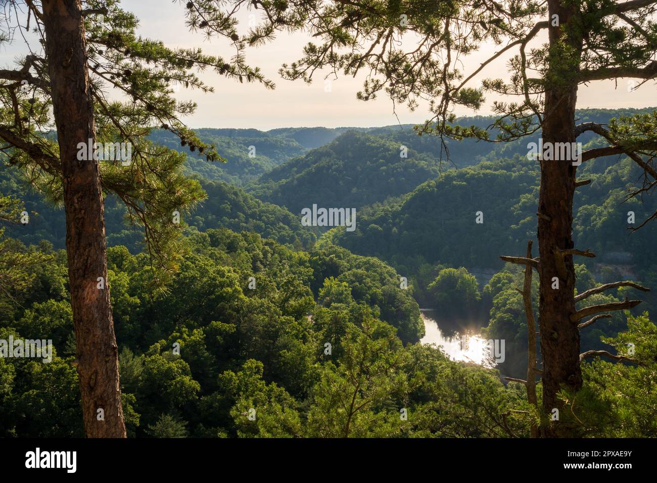 Natural Bridge State Resort Park in Kentucky Stock Photo - Alamy