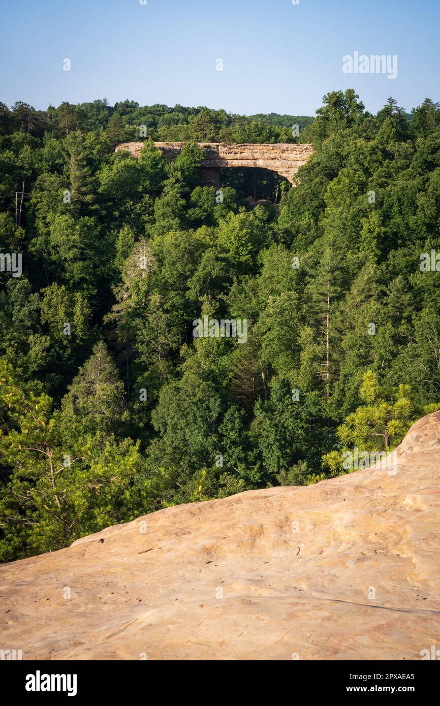 Natural Bridge State Resort Park in Kentucky Stock Photo - Alamy
