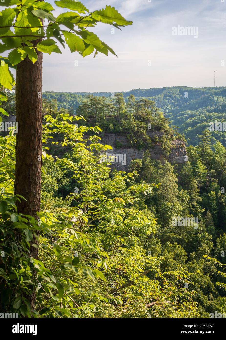 Natural Bridge State Resort Park in Kentucky Stock Photo - Alamy