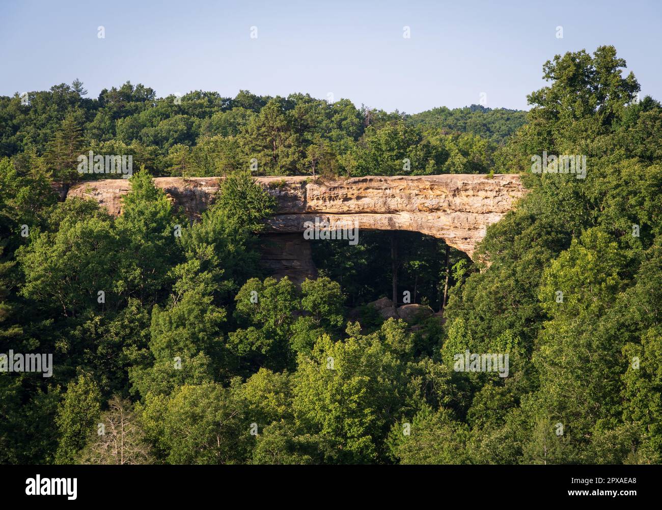 Natural Bridge State Resort Park in Kentucky Stock Photo - Alamy