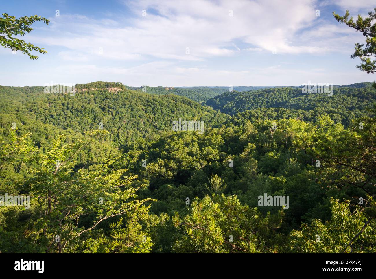 Natural Bridge State Resort Park in Kentucky Stock Photo - Alamy