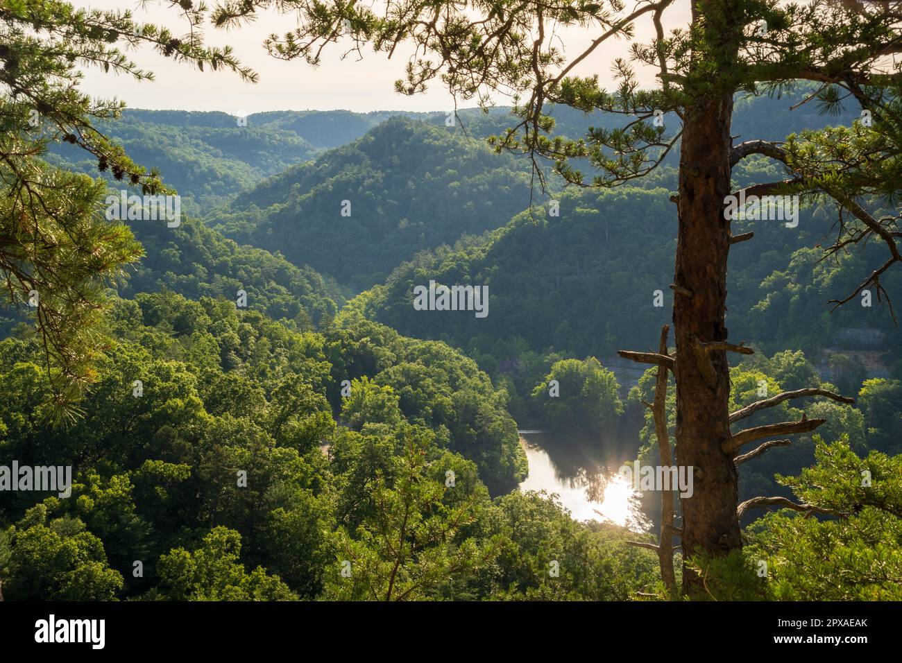 Natural Bridge State Resort Park in Kentucky Stock Photo - Alamy
