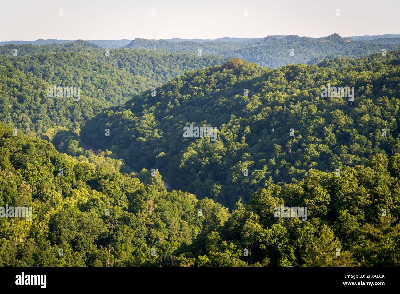 Natural Bridge State Resort Park in Kentucky Stock Photo - Alamy