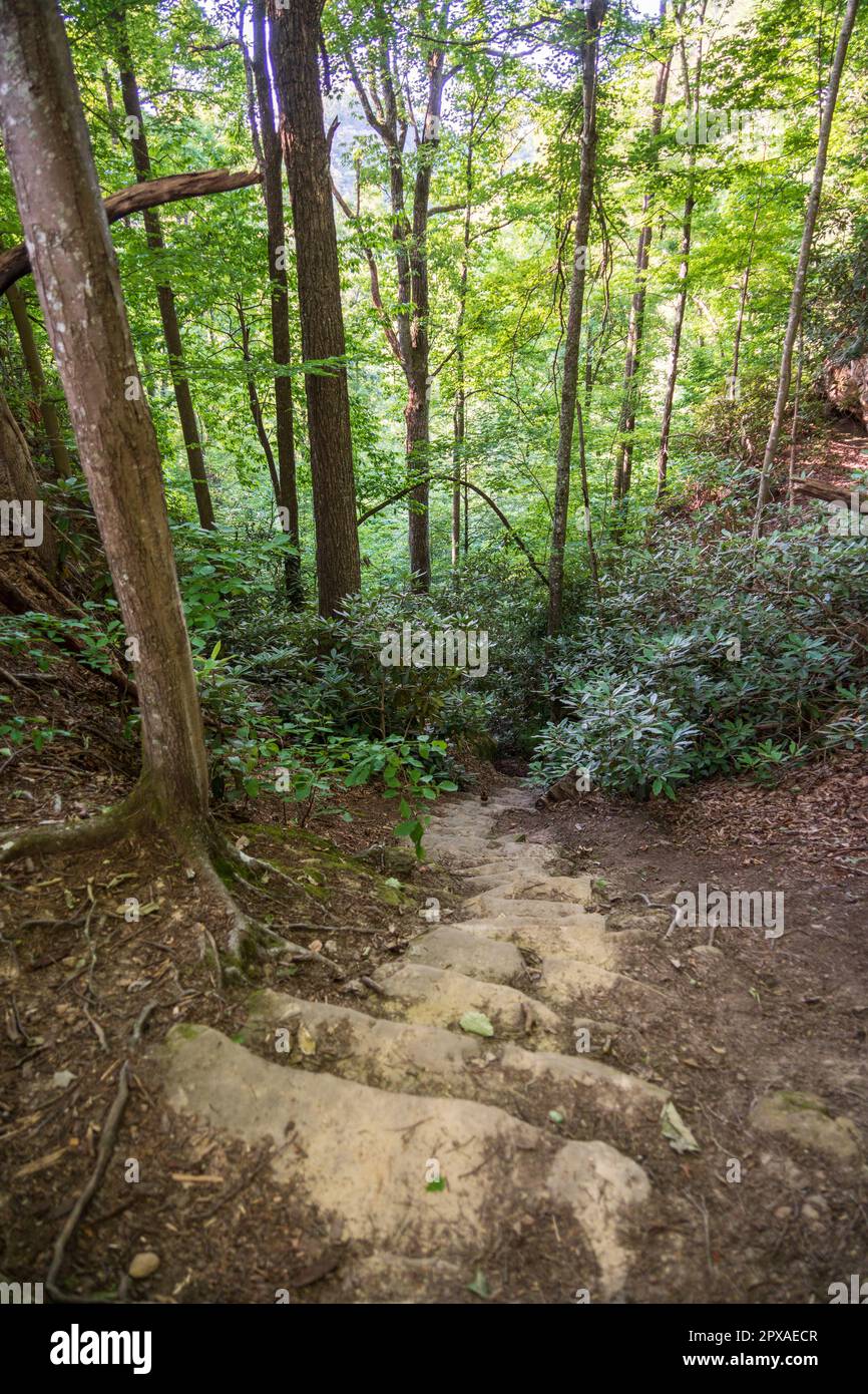 Natural Bridge State Resort Park in Kentucky Stock Photo - Alamy
