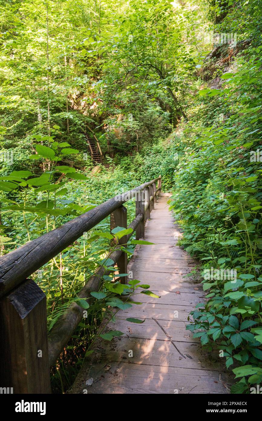Natural Bridge State Resort Park in Kentucky Stock Photo - Alamy