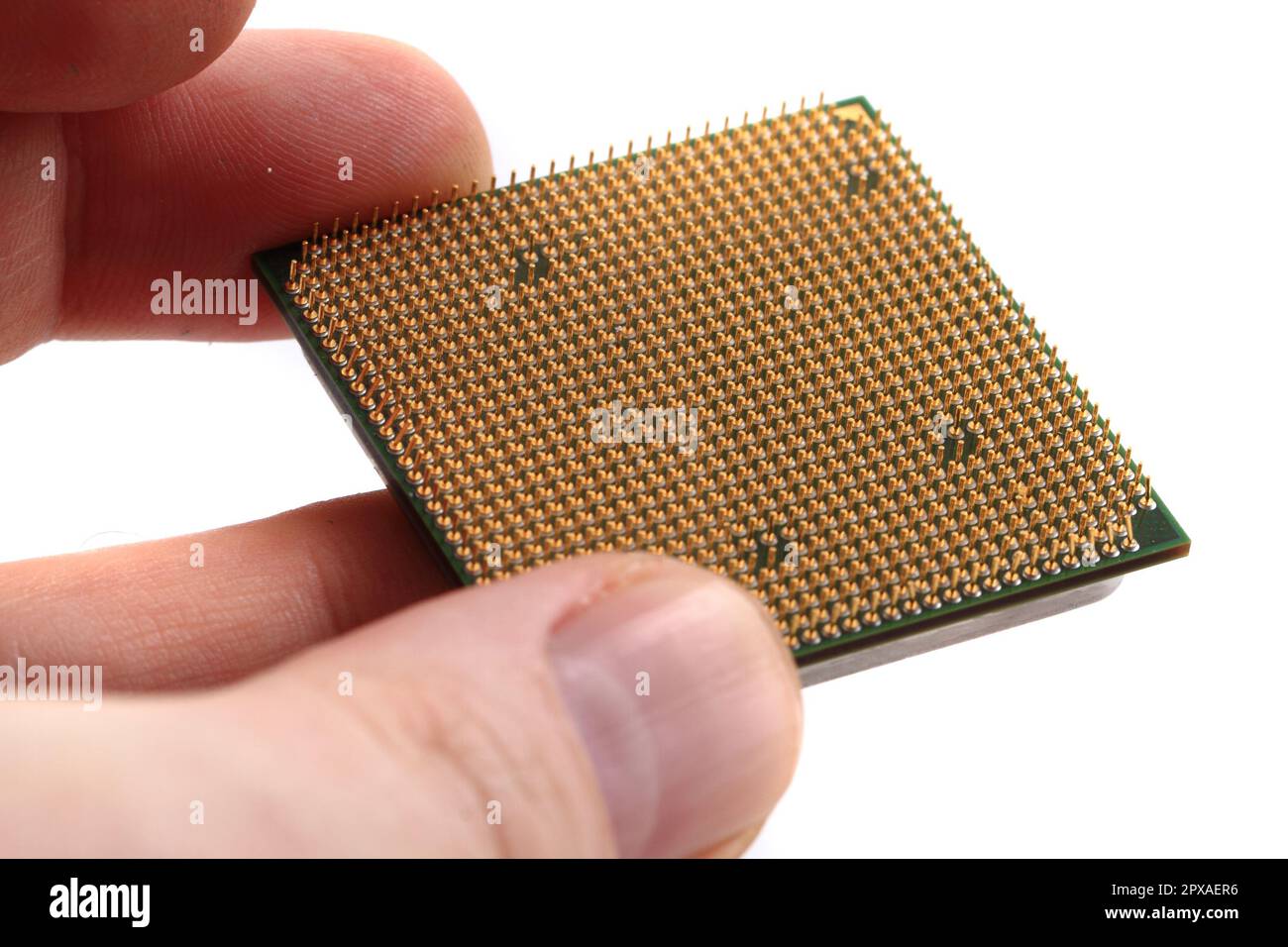 computer chip isolated on the white background Stock Photo - Alamy