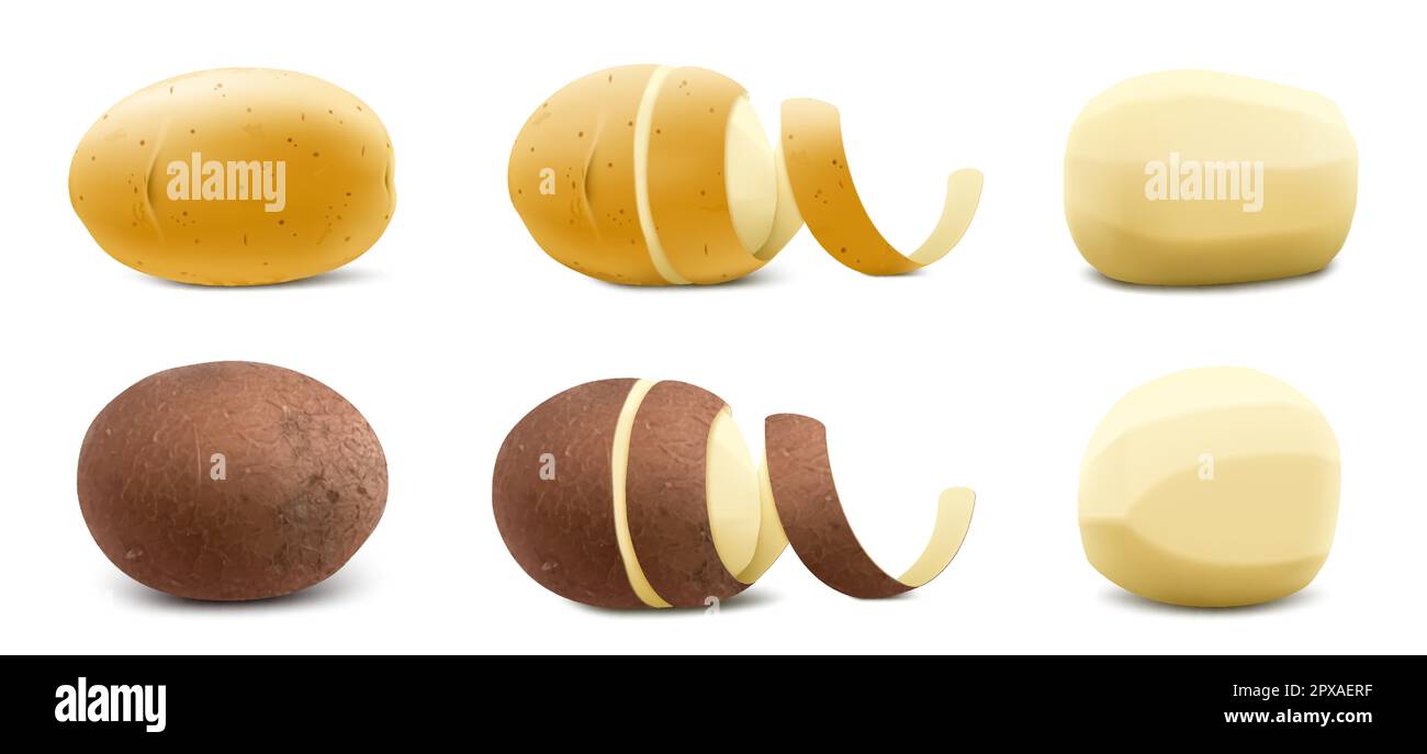Set of New Yellow and brown Raw Whole Unpeeled Potato and Peeled Potato ...