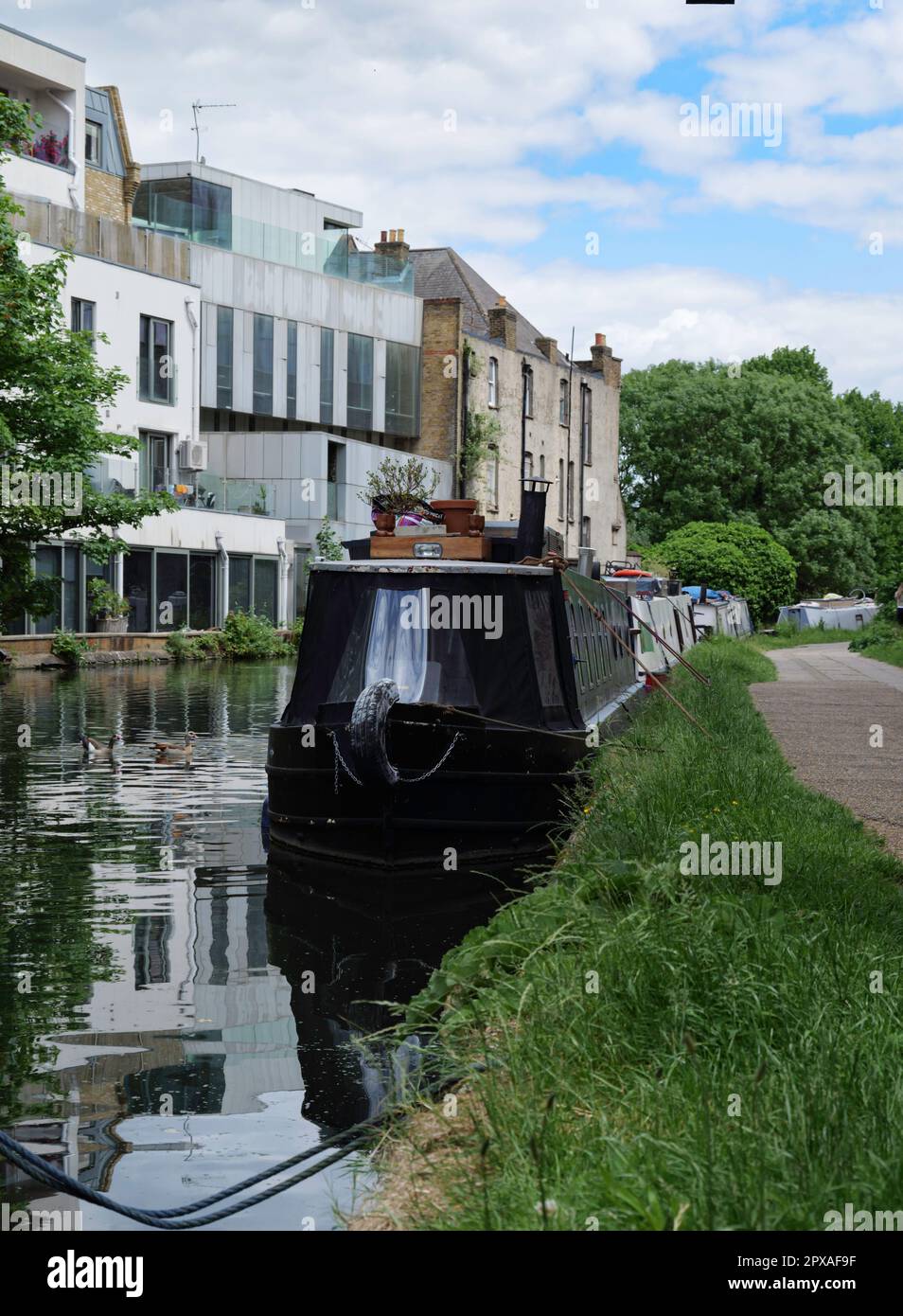 Adela st hi-res stock photography and images - Alamy