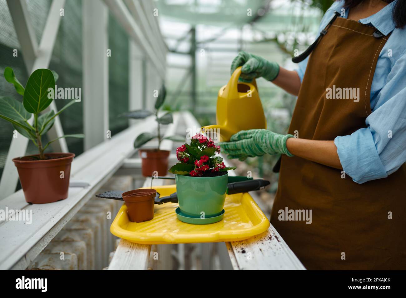 Farm woman overalls gardening hi-res stock photography and images - Alamy