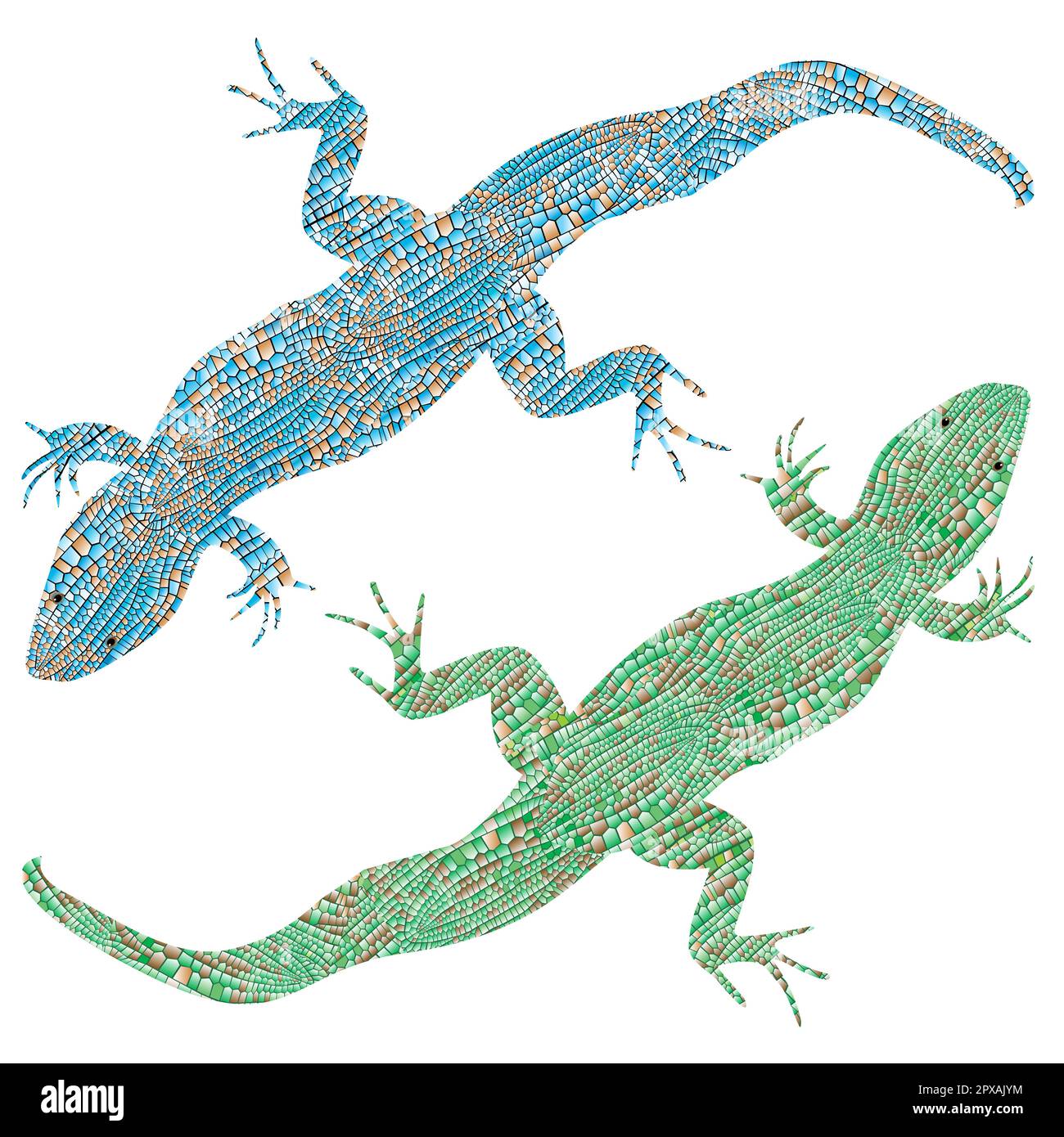 Two lizards in realistic style isolated on white background Stock Photo ...