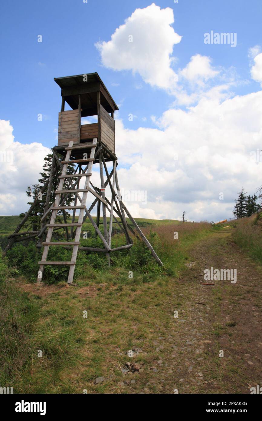 hide in the mountains near the forest Stock Photo - Alamy