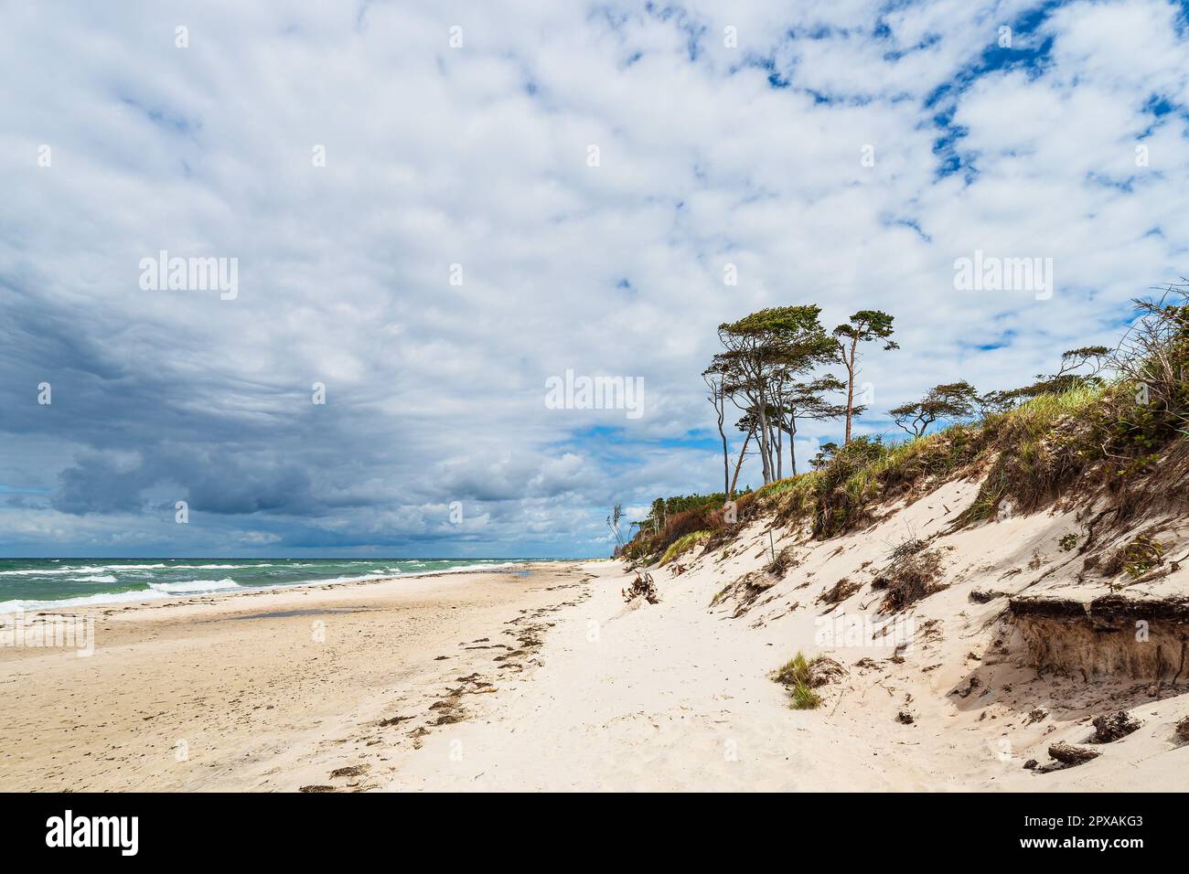 Beach on the Baltic Sea coast on the peninsula Fischland-Darß, Germany ...