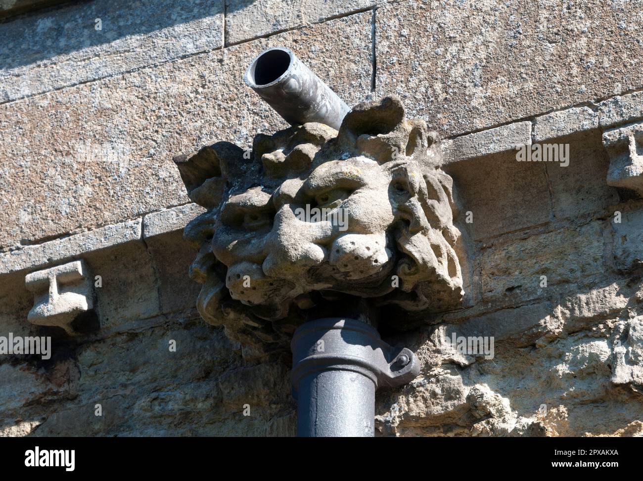 Gargoyle on St. Botolph`s Church, Barton Seagrave, Northamptonshire ...