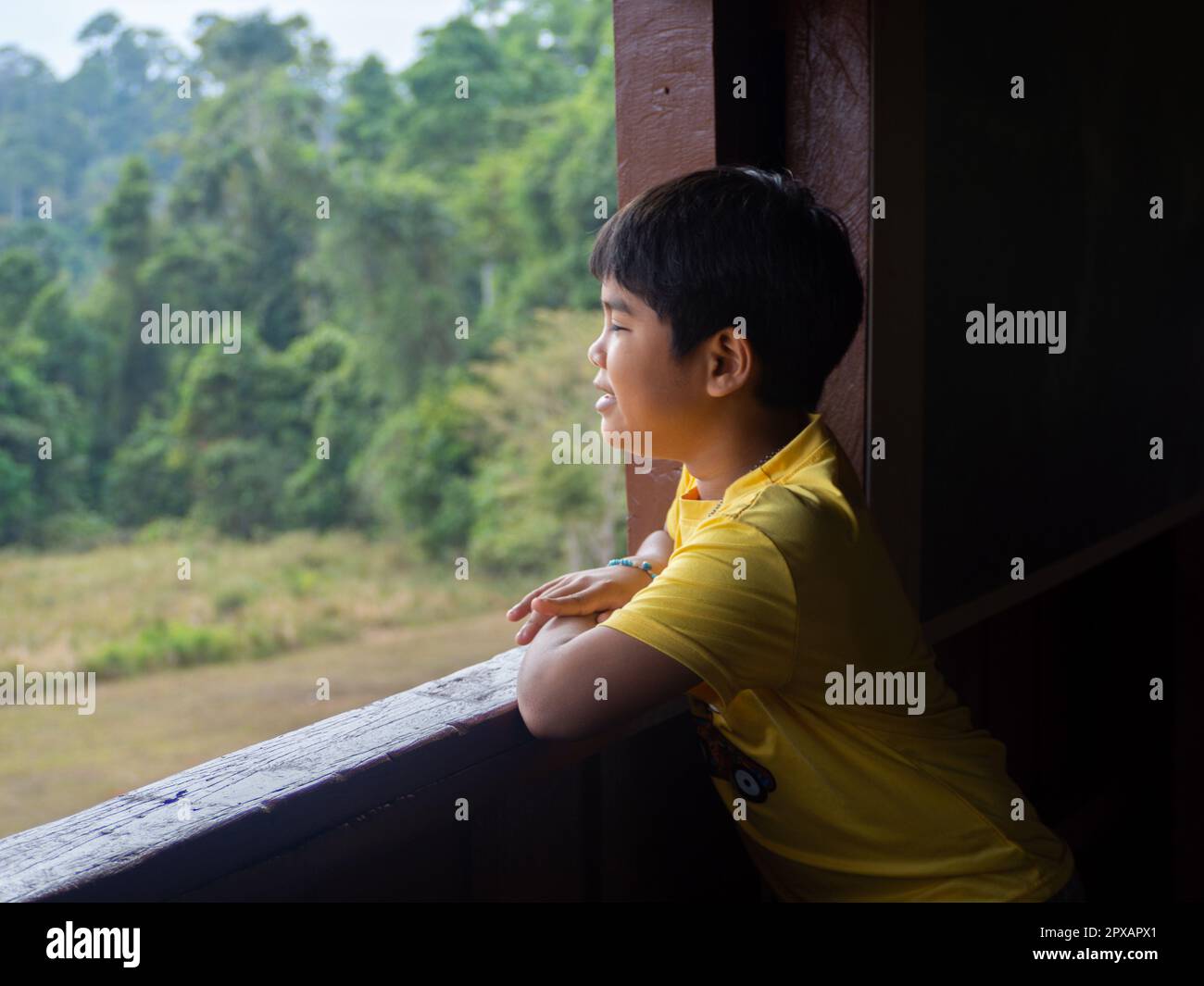 boy looking out window looking at the green forest Stock Photo - Alamy
