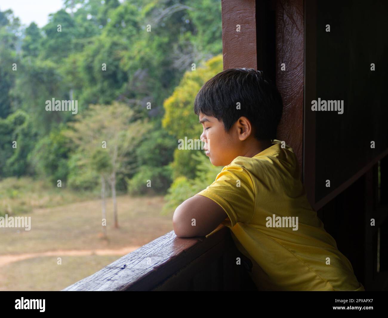 boy looking out window looking at the green forest Stock Photo - Alamy