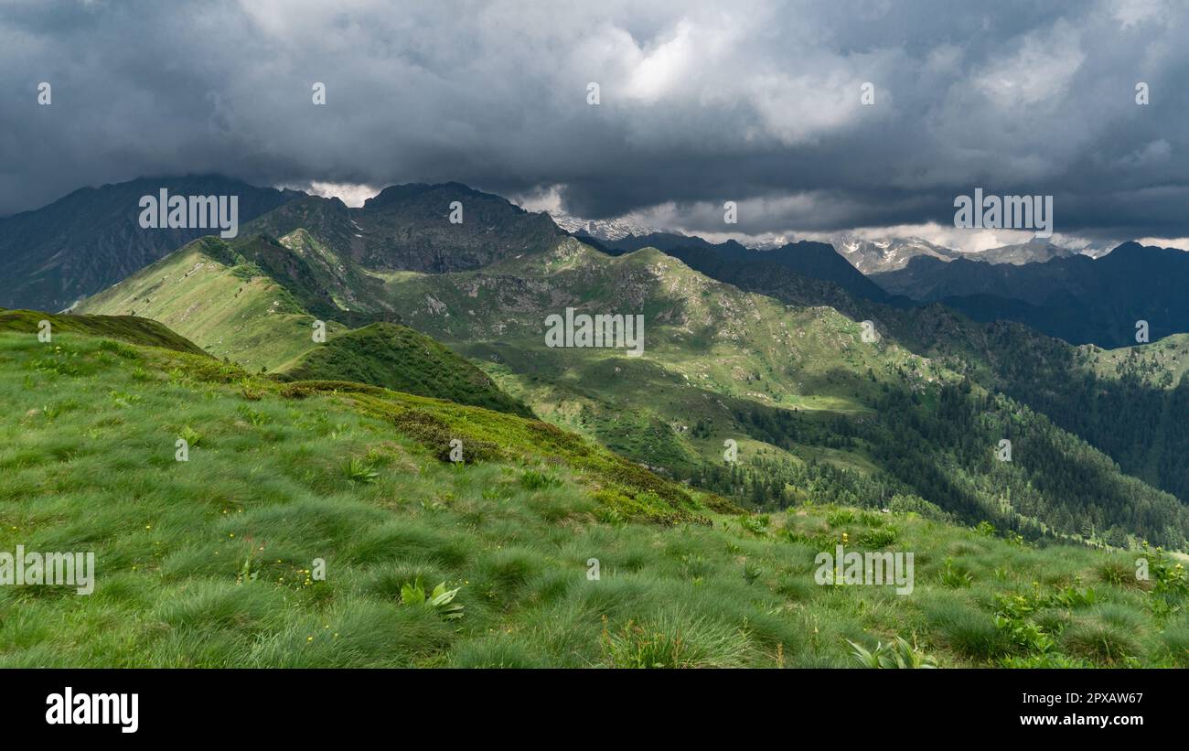 Cloudy sky over grass meadows hi-res stock photography and images - Alamy