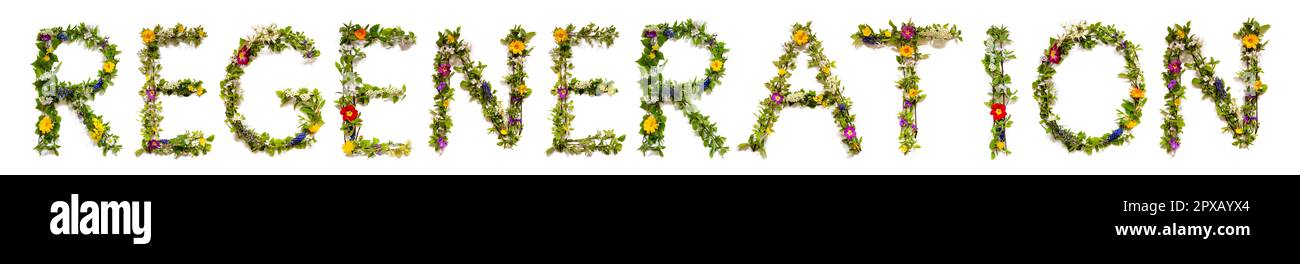 Blooming Flower Letters Building English Word Regeneration. Summer And ...