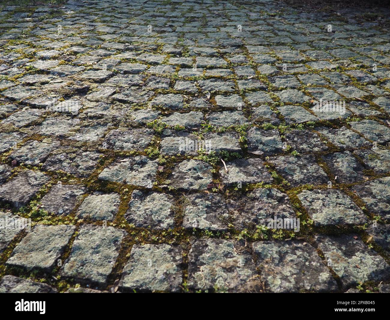 Neatly laid out old paving stones. Pavement on the square of the old ...