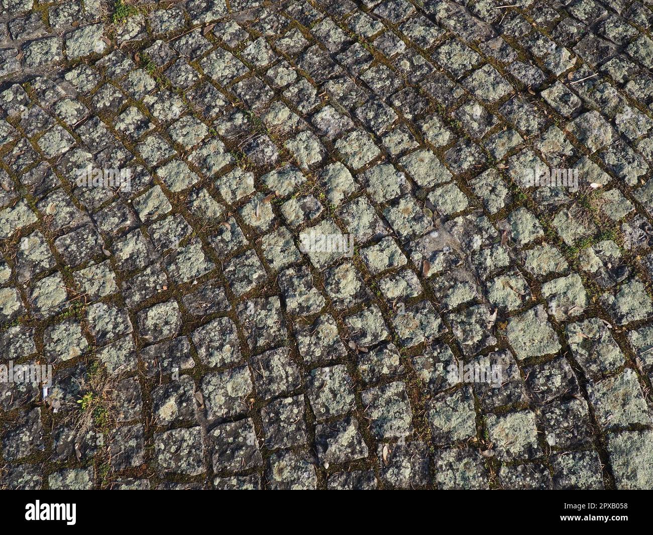 Neatly laid out old paving stones. Pavement on the square of the old ...