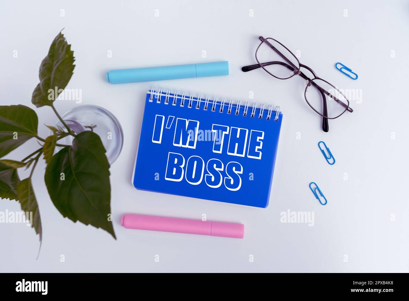 Conceptual caption I'M The Boss, Word for Be the one that gives orders ...