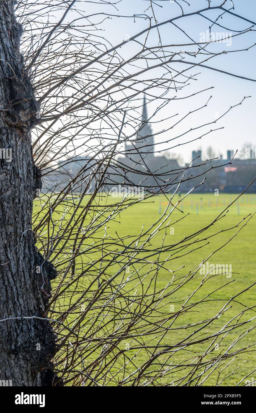 View of a green park in Cambridge, England, UK Stock Photo - Alamy