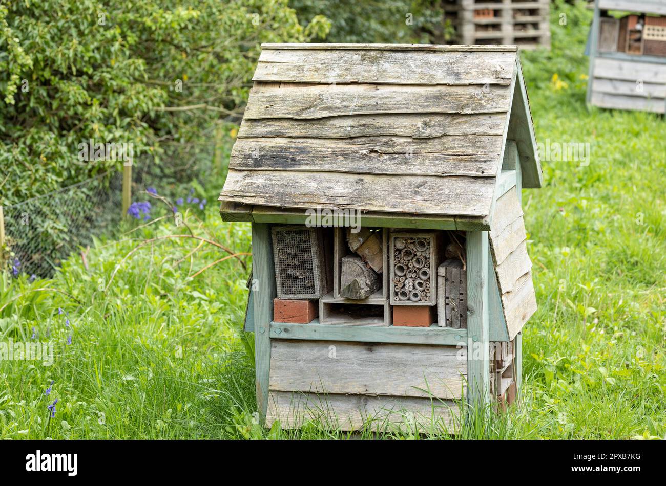 Wooden insect hotel, shelter for wild insects in forest reserve Stock ...