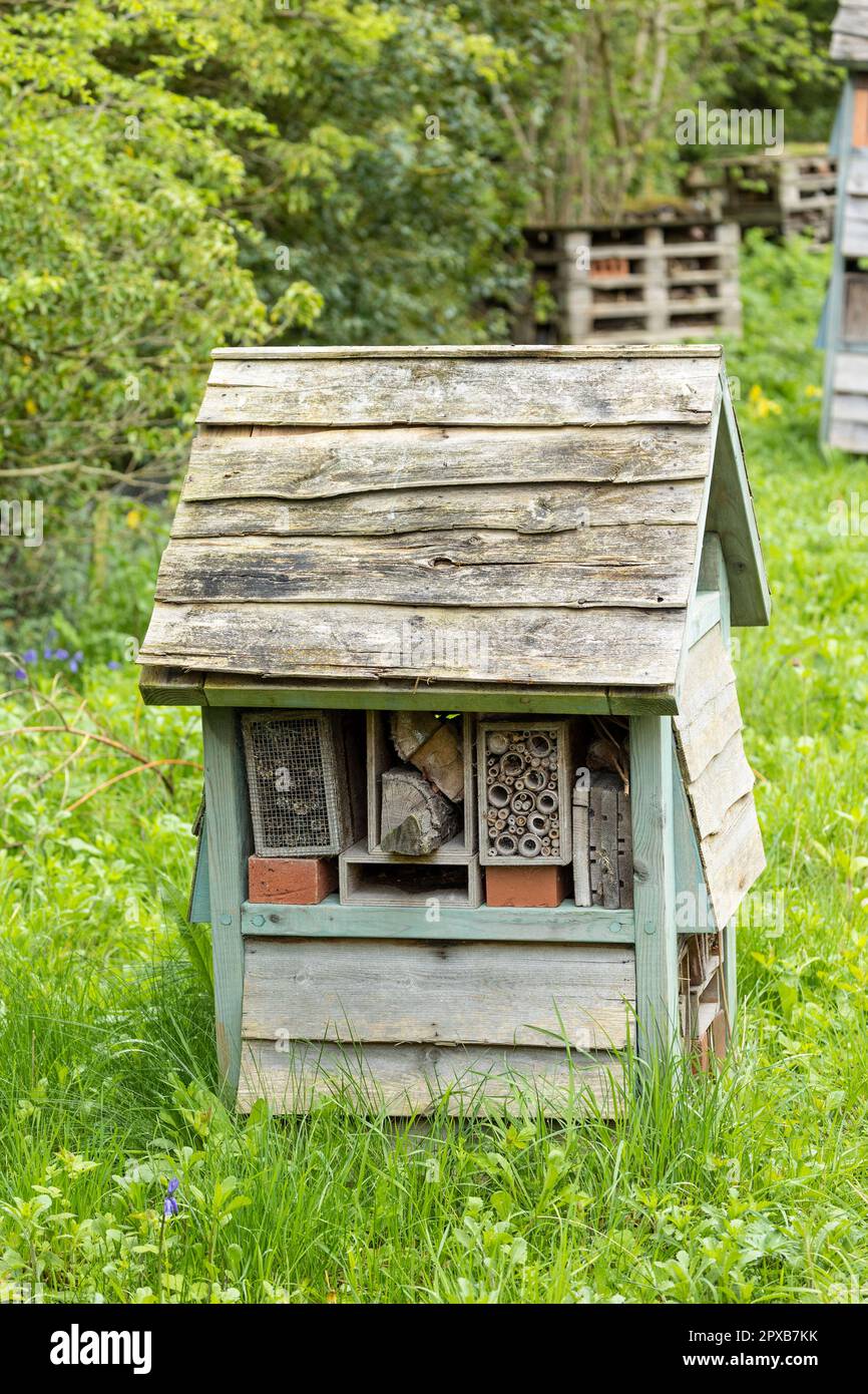 Wooden insect hotel, shelter for wild insects in forest reserve Stock ...