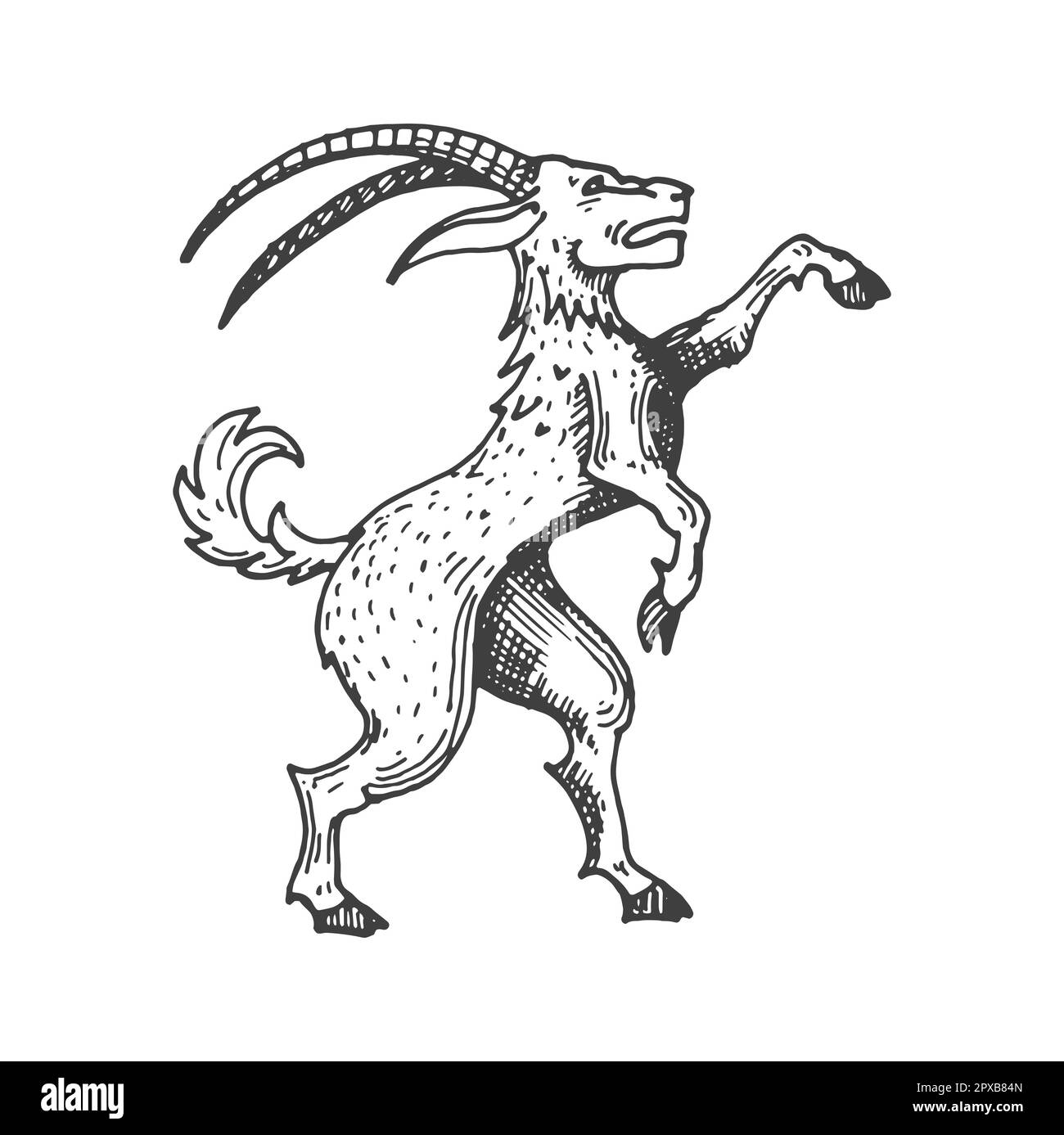 Goat medieval heraldic animal sketch. Magic animal, mythical prancing ...