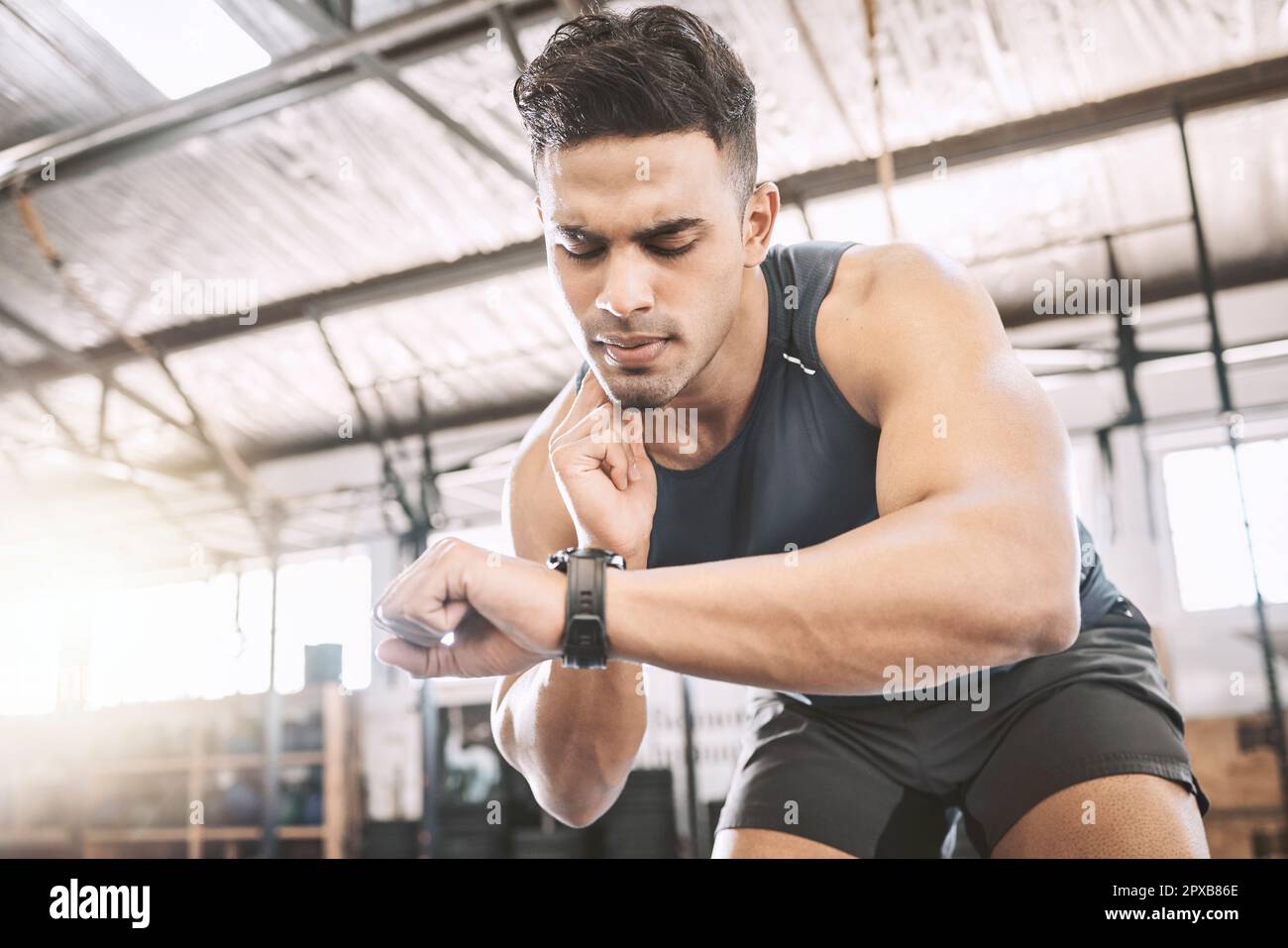 Fit trainer checking his pulse after a workout. Young athlete timing ...
