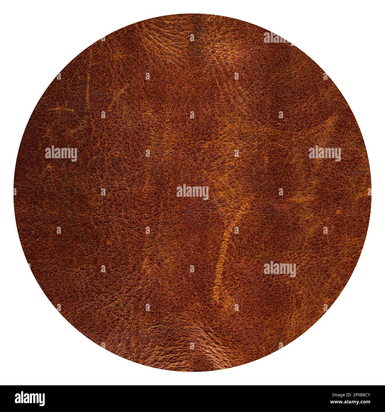 Genuine cowhide texture close up, useful as background for any design ...