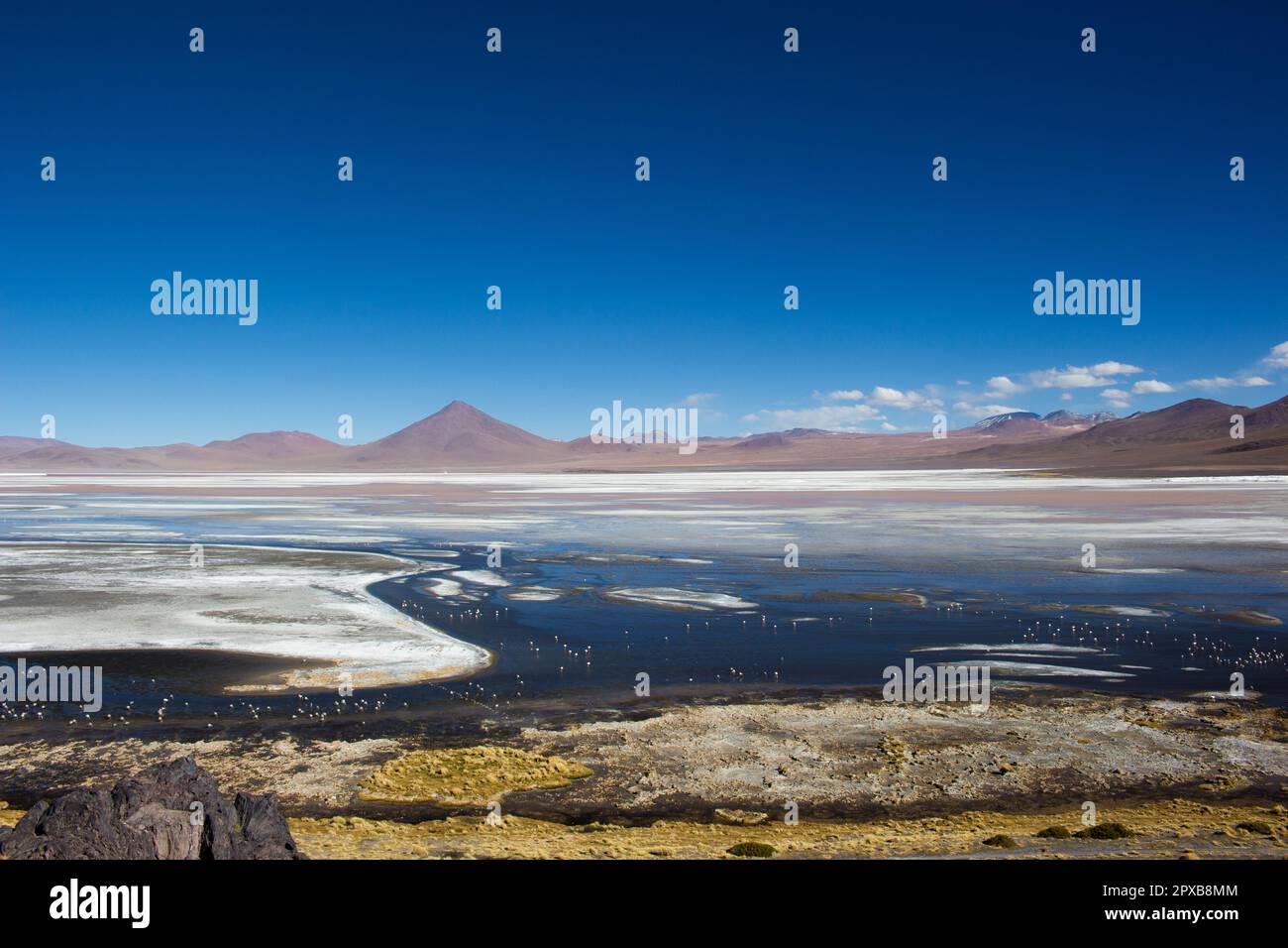 salt flats volcano bolivia chile Stock Photo - Alamy