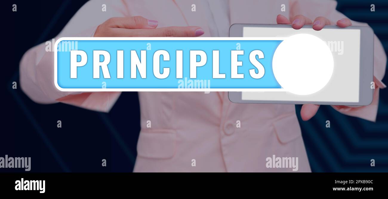 Conceptual display Principles, Concept meaning fundamental truth that ...