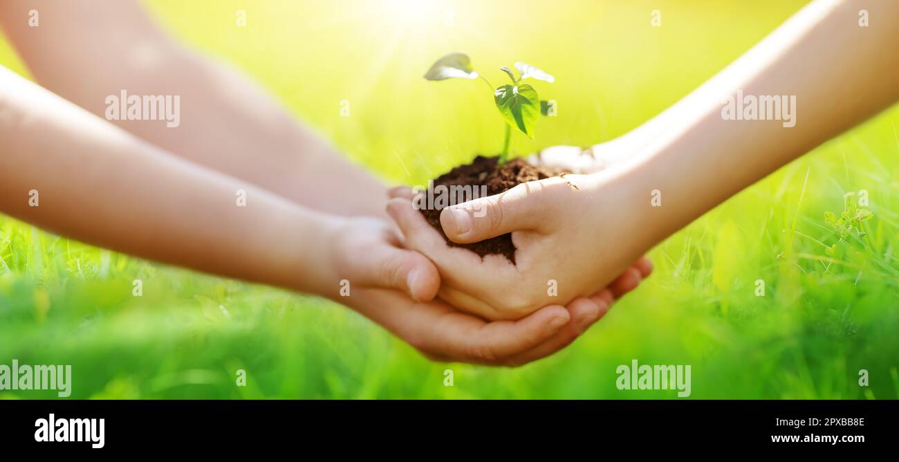 One child giving to another young sprout of a plant from hands to hands ...