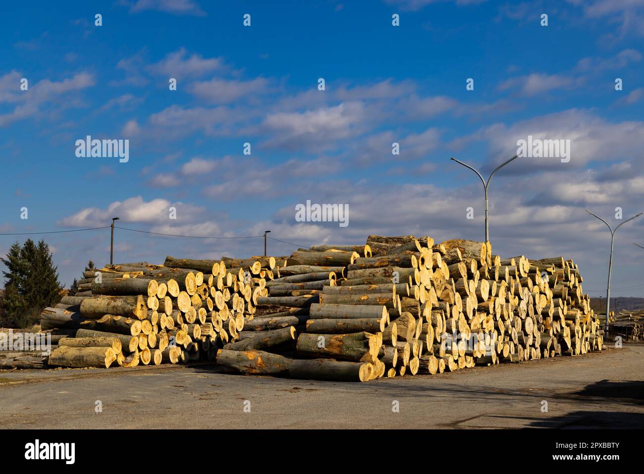 wooden logs on the open air Stock Photo - Alamy